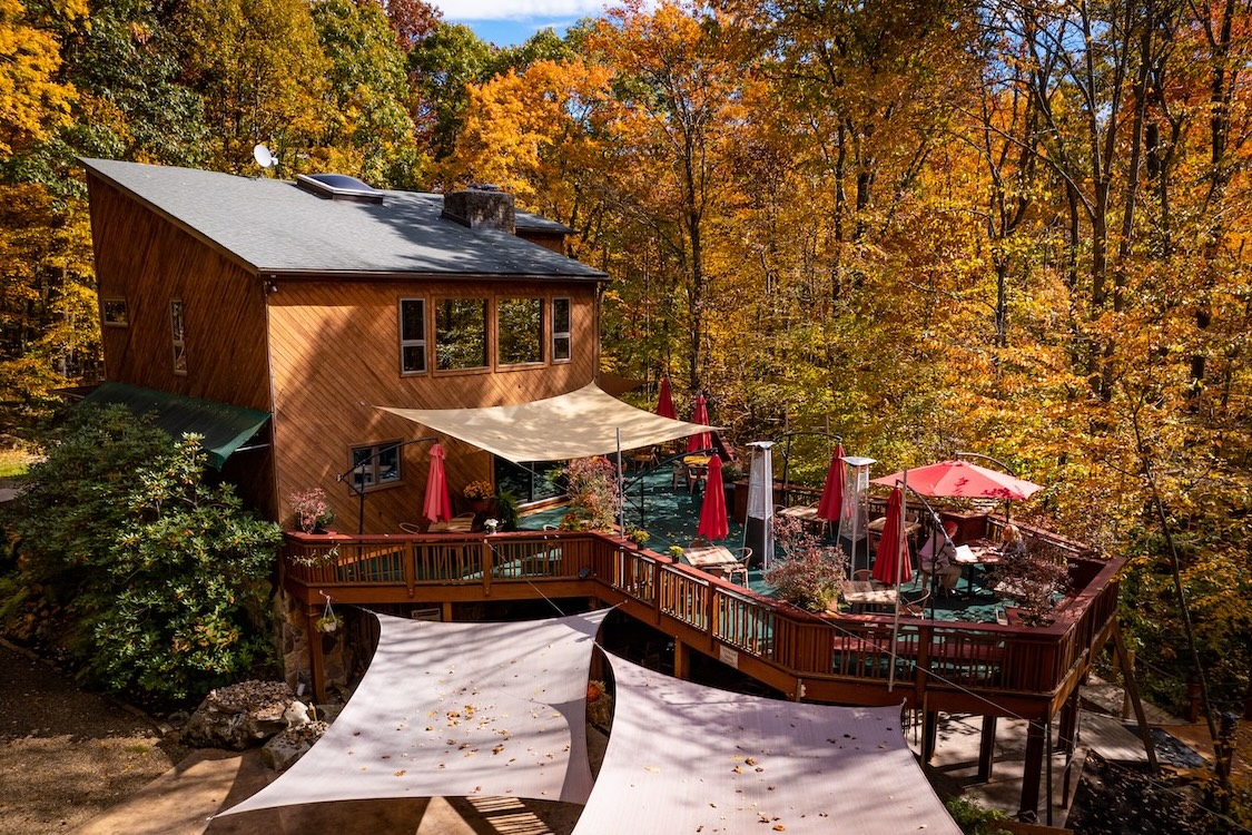 Tree Top Dining at Polymath Park: A Unique Culinary Experience ...