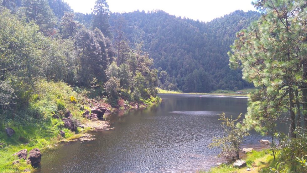 Ecatepec: A Guide to One of Mexico’s Most Vibrant Cities | Traveling ...